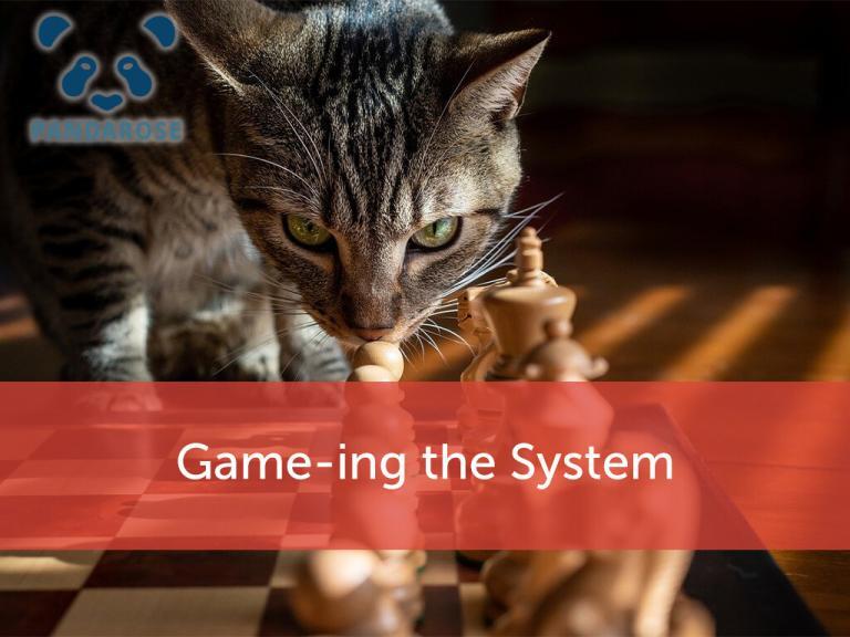 Game-ing the System — Panda Rose